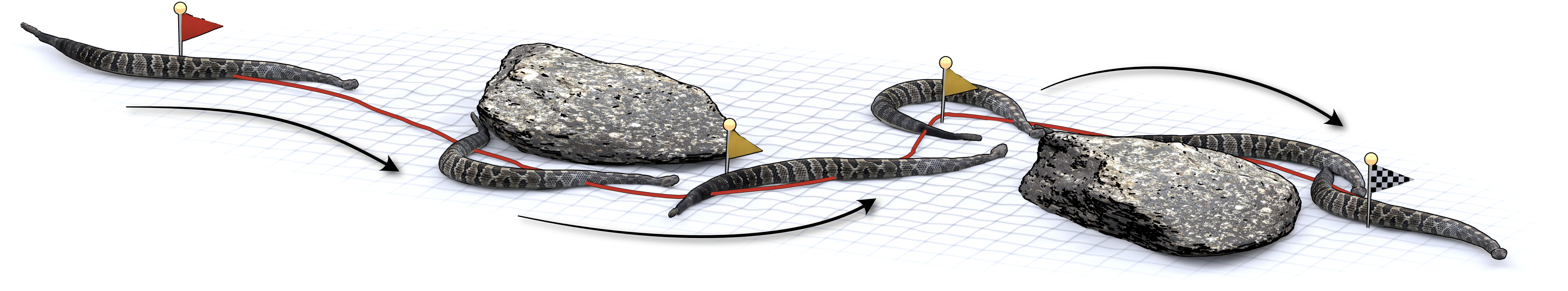 Inverse Geometric Locomotion